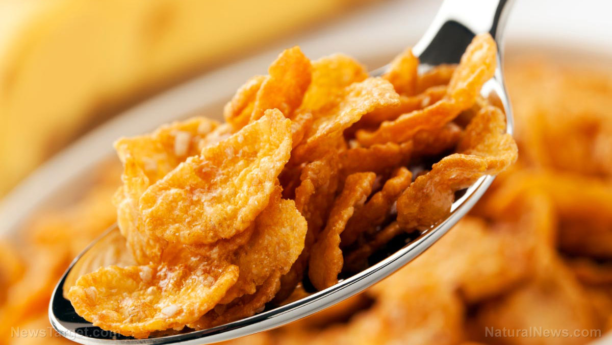 The hidden TOXINS in your breakfast bowl: How common grains may be ...